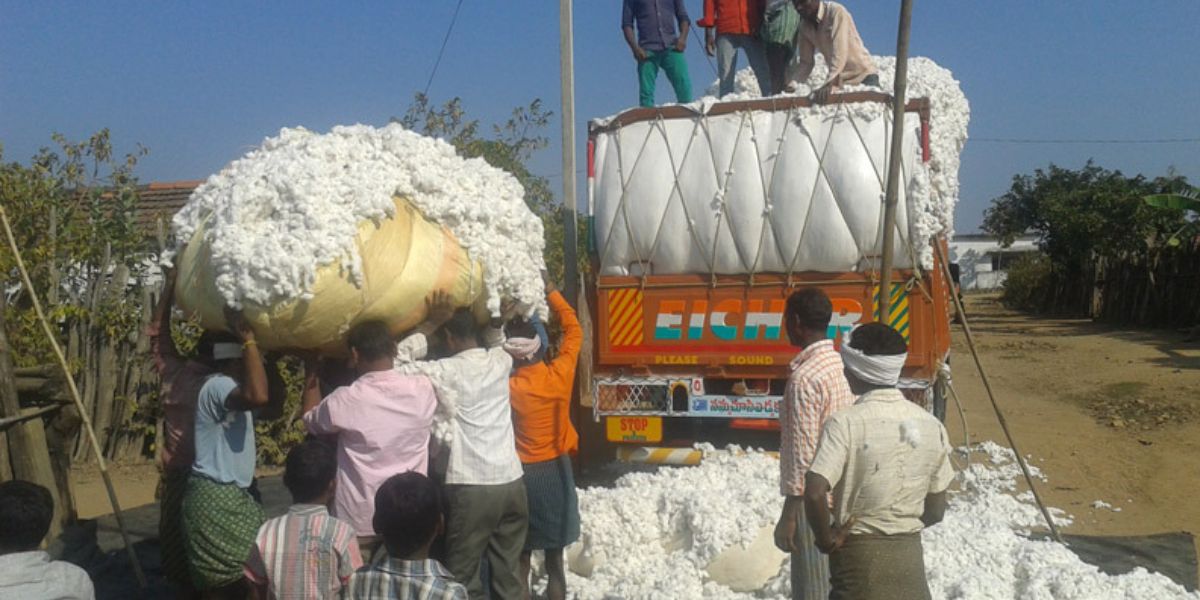 Adilabad (Telangana) – Centre for Collective Development